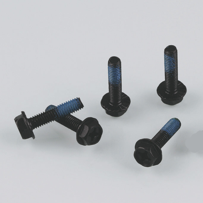 Blue Patching Special Bolts & Screws