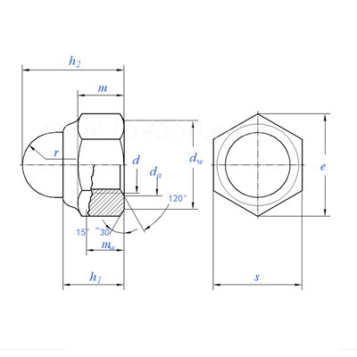 Hexagon Nylon Insert Nuts With Cap DIN 986