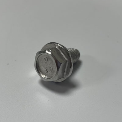 Stainless Steel Special Screws