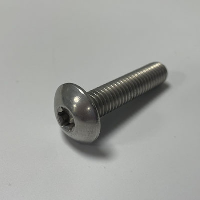 Stainless Steel Special Screws
