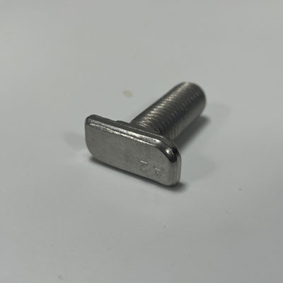 Stainless Steel Special Screws